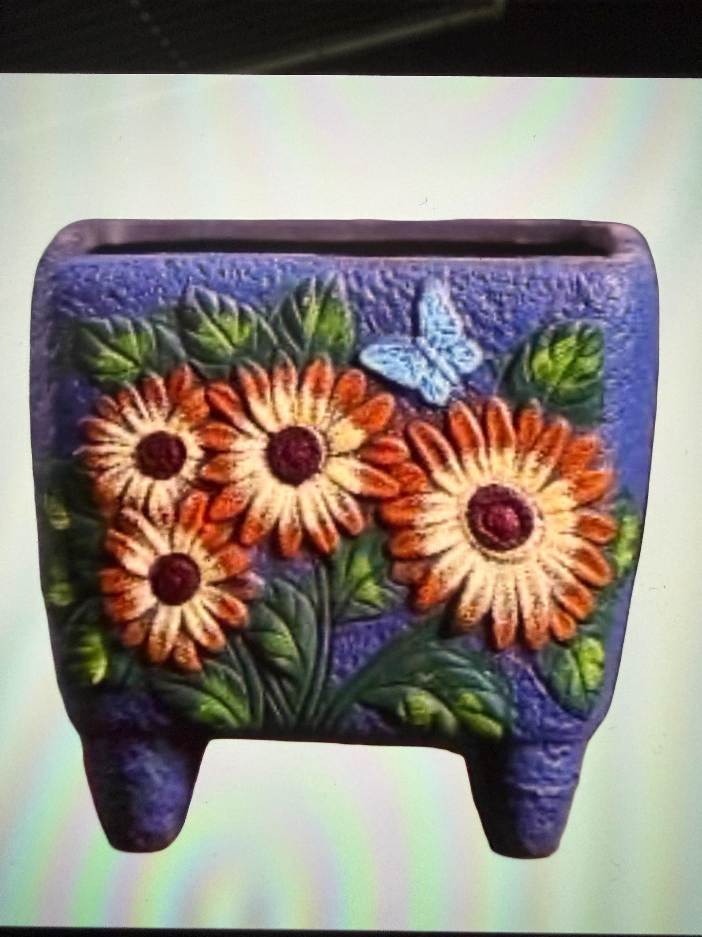 Fancy Pot for plants – Wicatet Farms